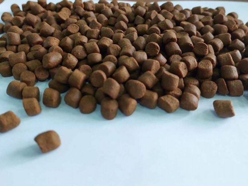 Корм для прудовой рыбы и узв