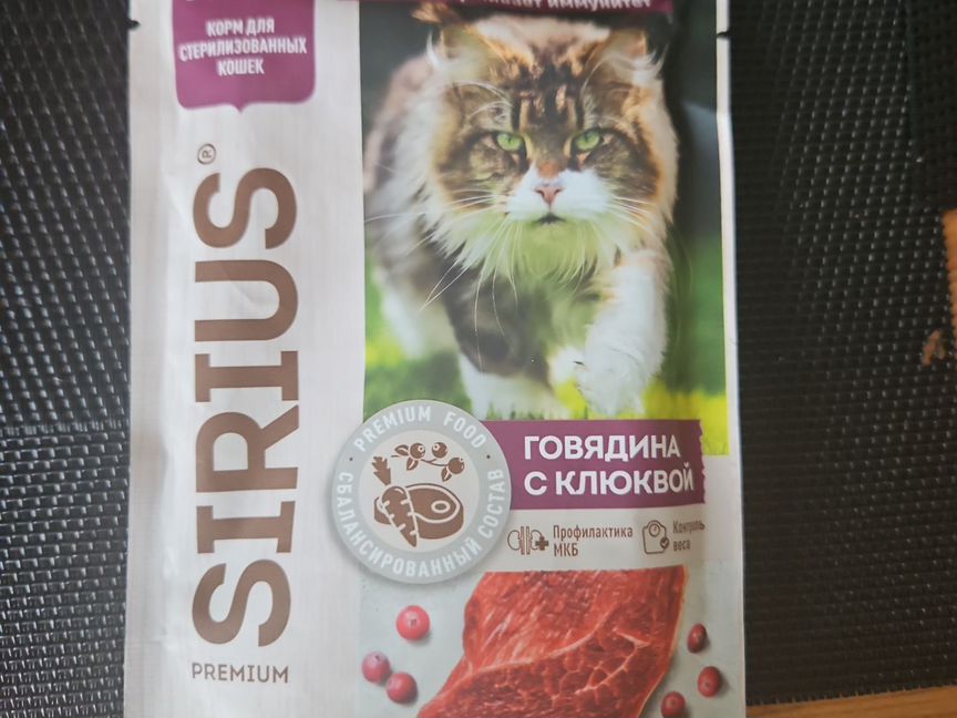Влажный корм для кошек