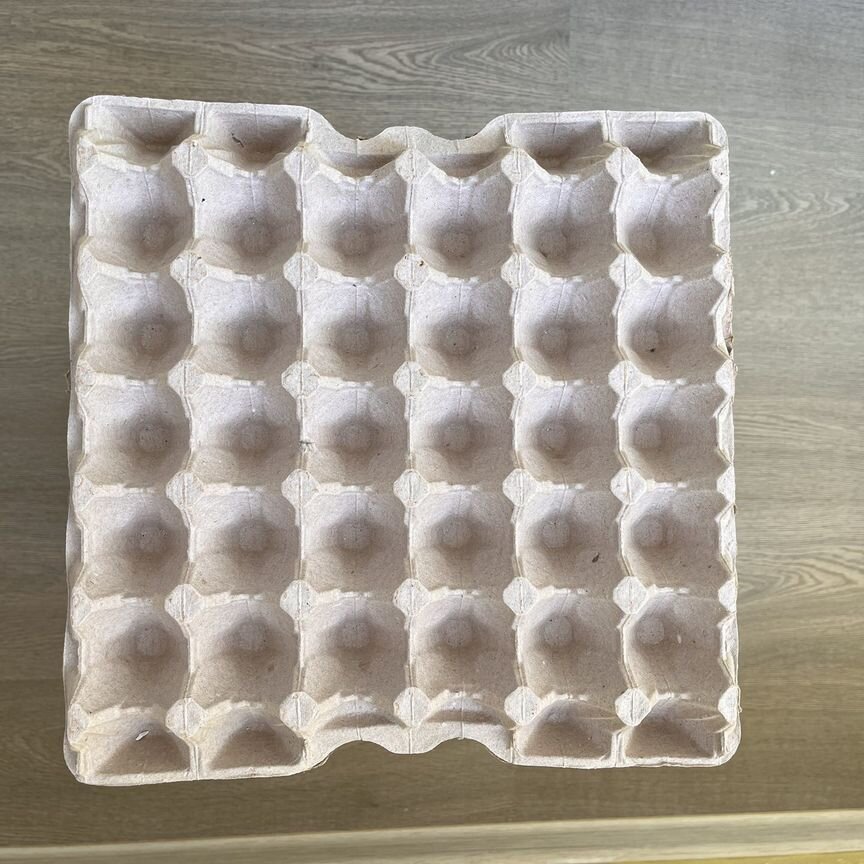 Яичные лотки