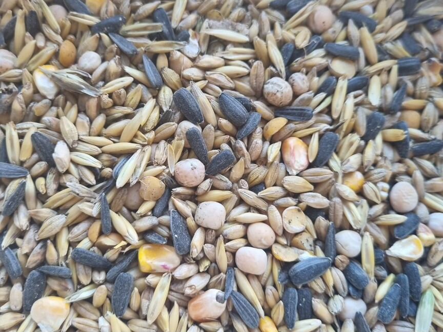 Зерносмесь