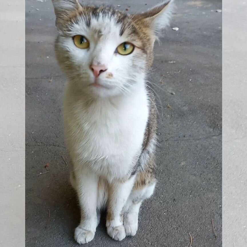 Когда ты один