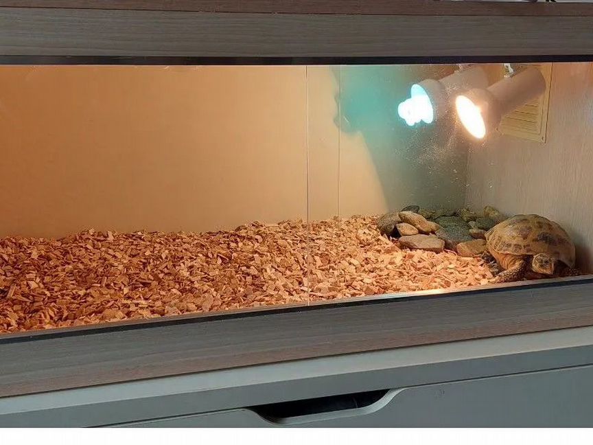 Террариумы Стеллажи Витрины Террариумные стойки