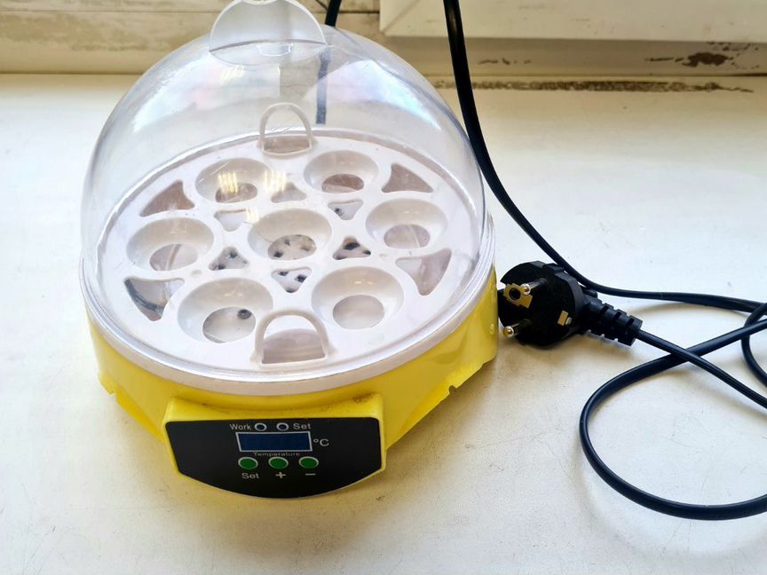 Инкубатор для яиц автоматический