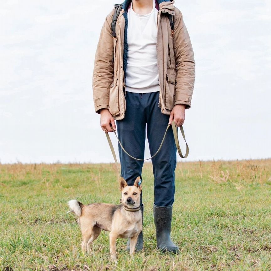 Маленькая Ася в добрые руки