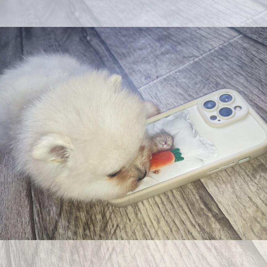 Миник малыш