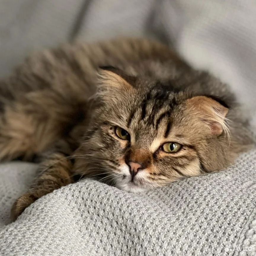 Меня просто бросили. Жду любящую семью