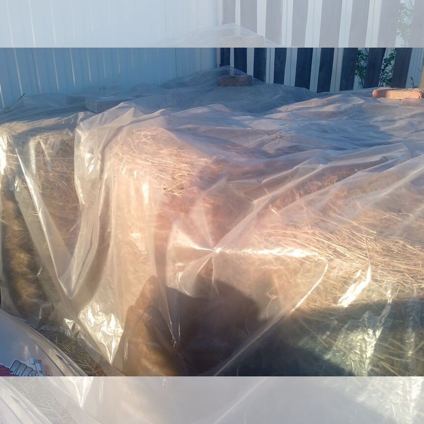 Продам сено в рулонах 4шт Самовывоз
