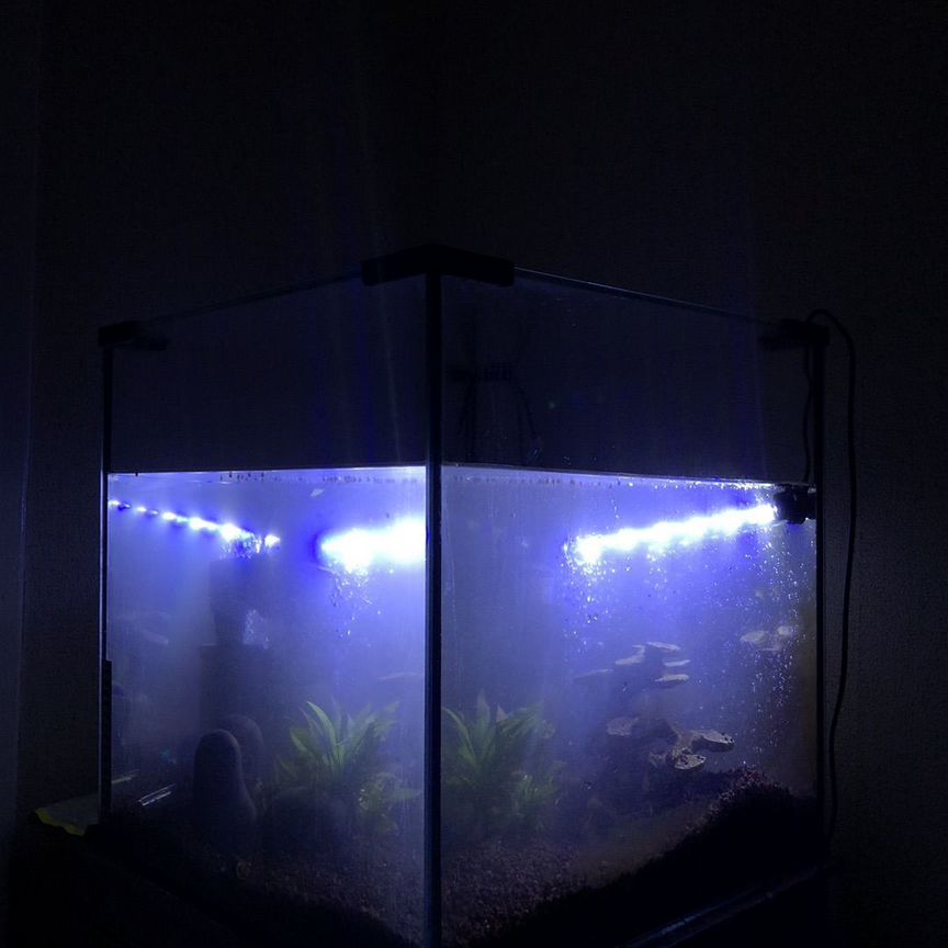 Аквариум с полным комлектом