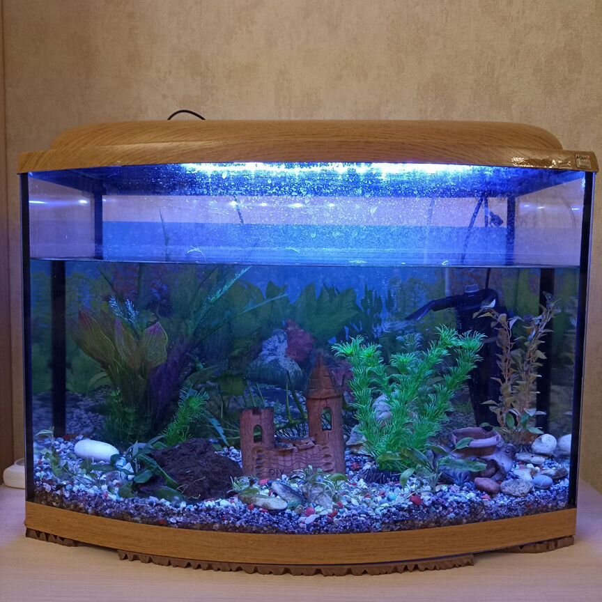 Аквариум