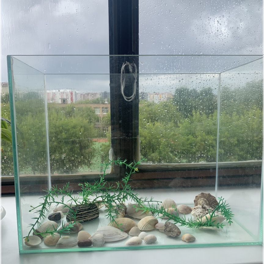 Аквариум
