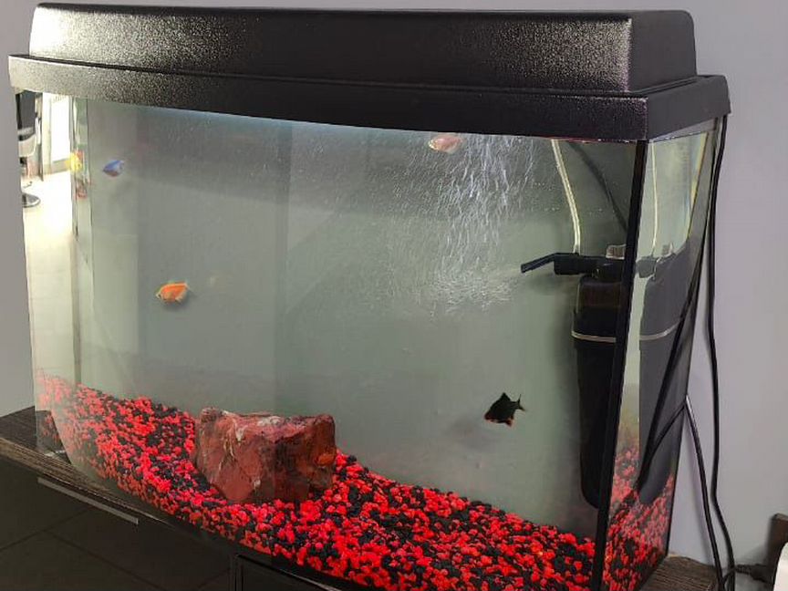 Аквариум с тумбой 100 литров