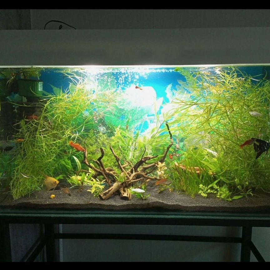 Аквариум с подставкой