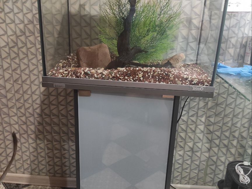 Аквариум с тумбой Tetra 60
