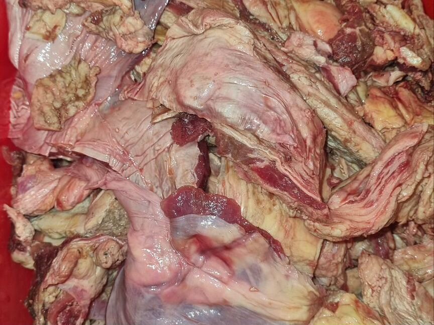 Мясо говяжья обрезь для собак