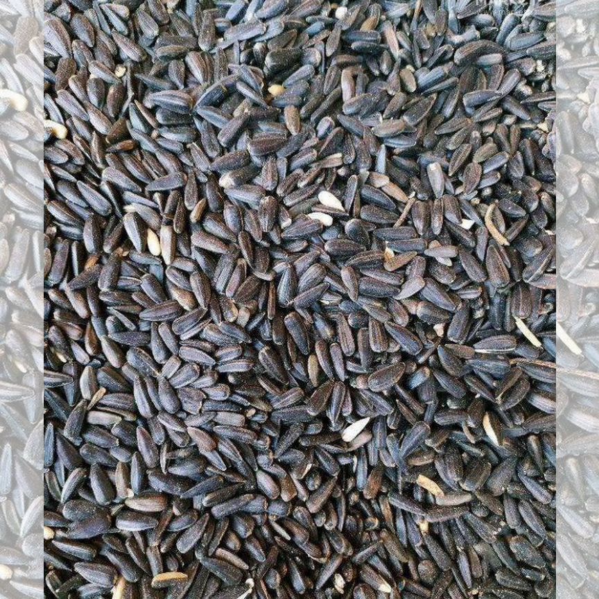 Семечки кормовые 30кг