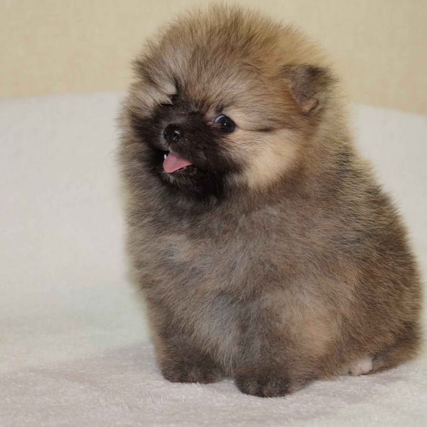 И сказка постучалась в дом