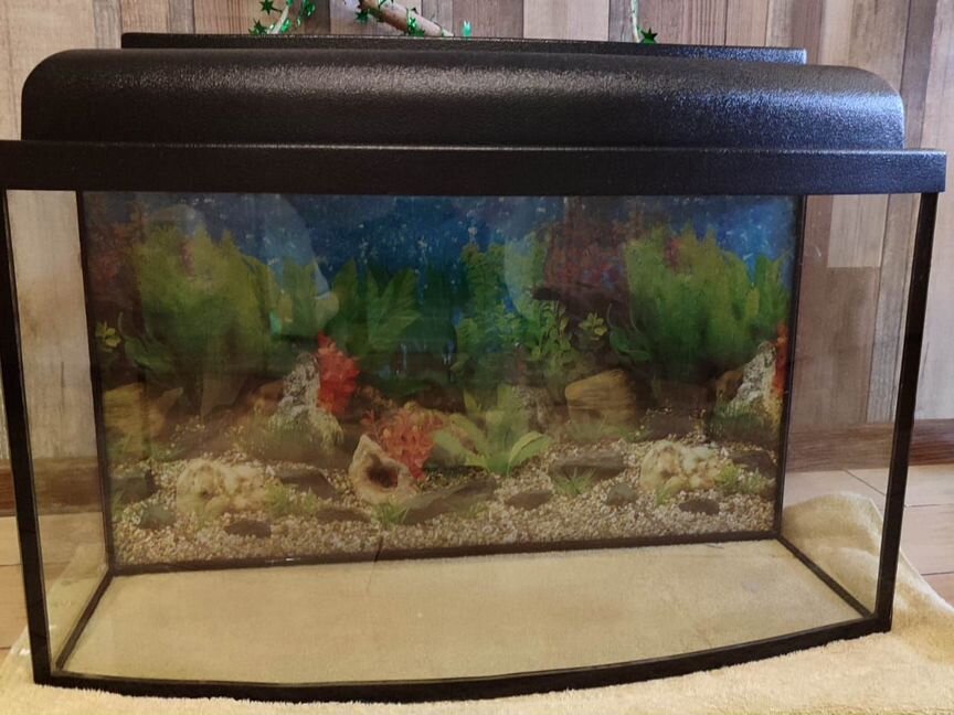 Аквариум на 40 литров