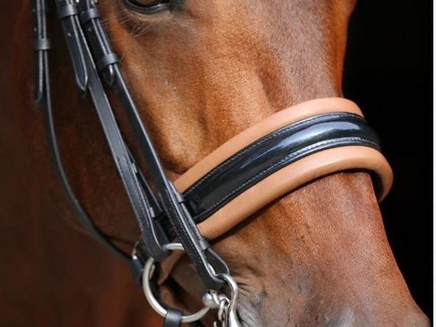 Мундштучное оголовье для лошади