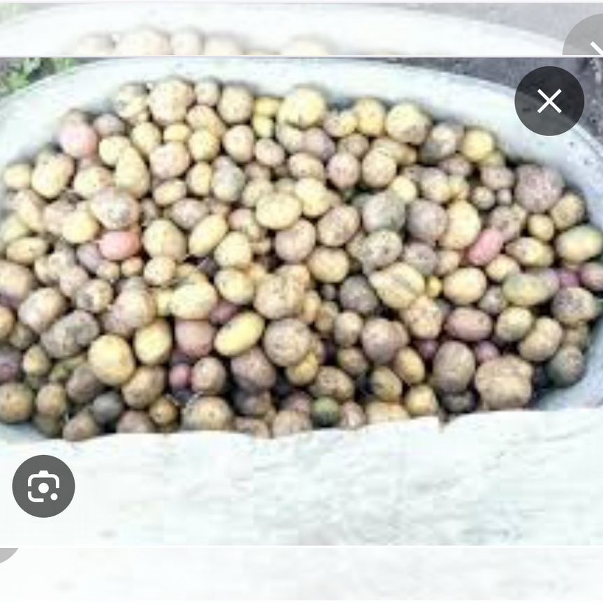 Продам мелкий картофель