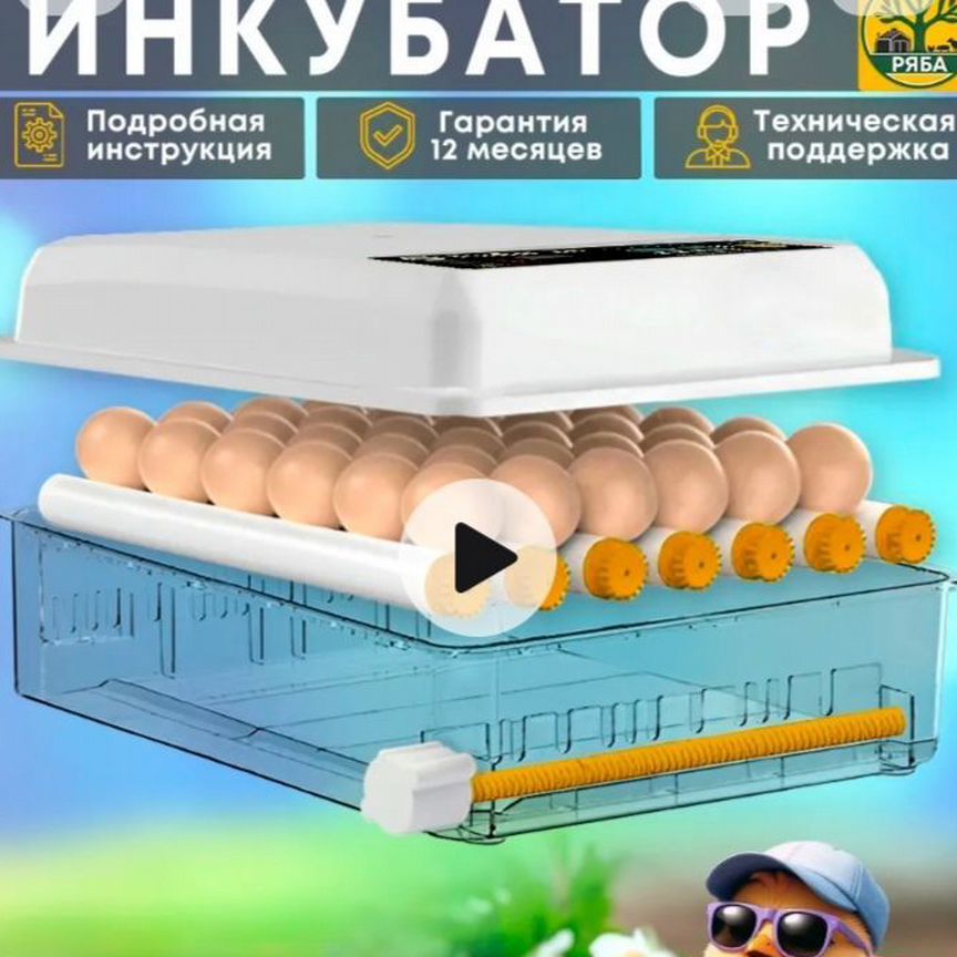 Инкубатор для яиц ряба 36
