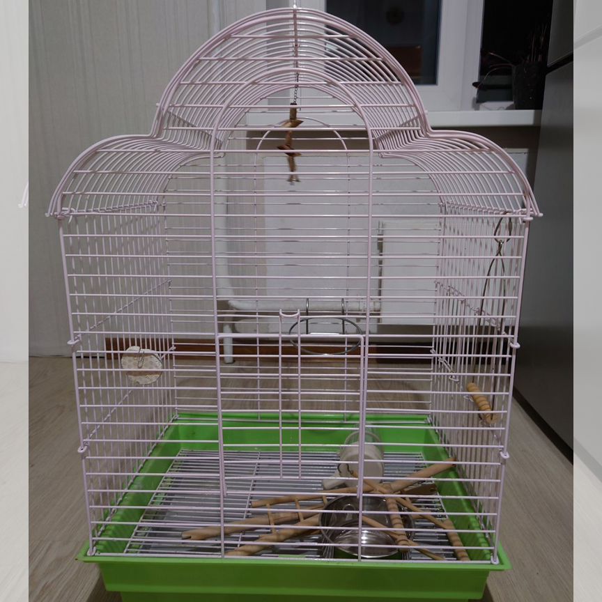 Попугай клетка