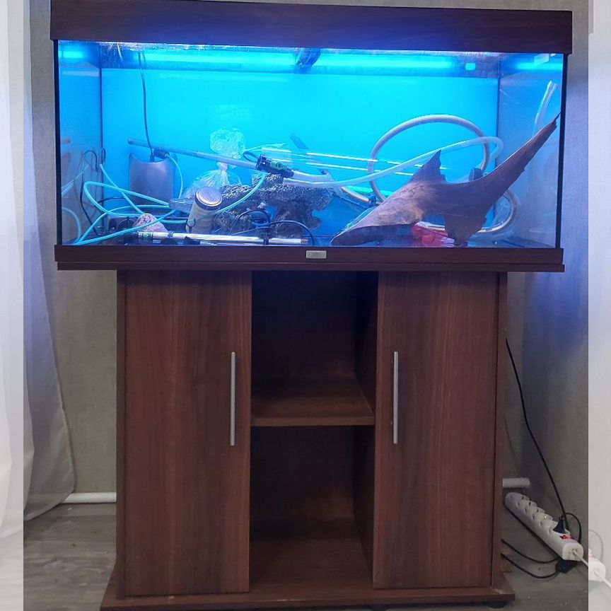 Аквариум с тумбой Juwel 240 л