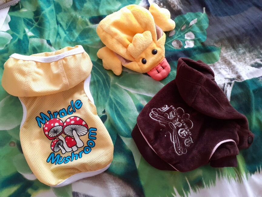 Кофты для маленькой собачки