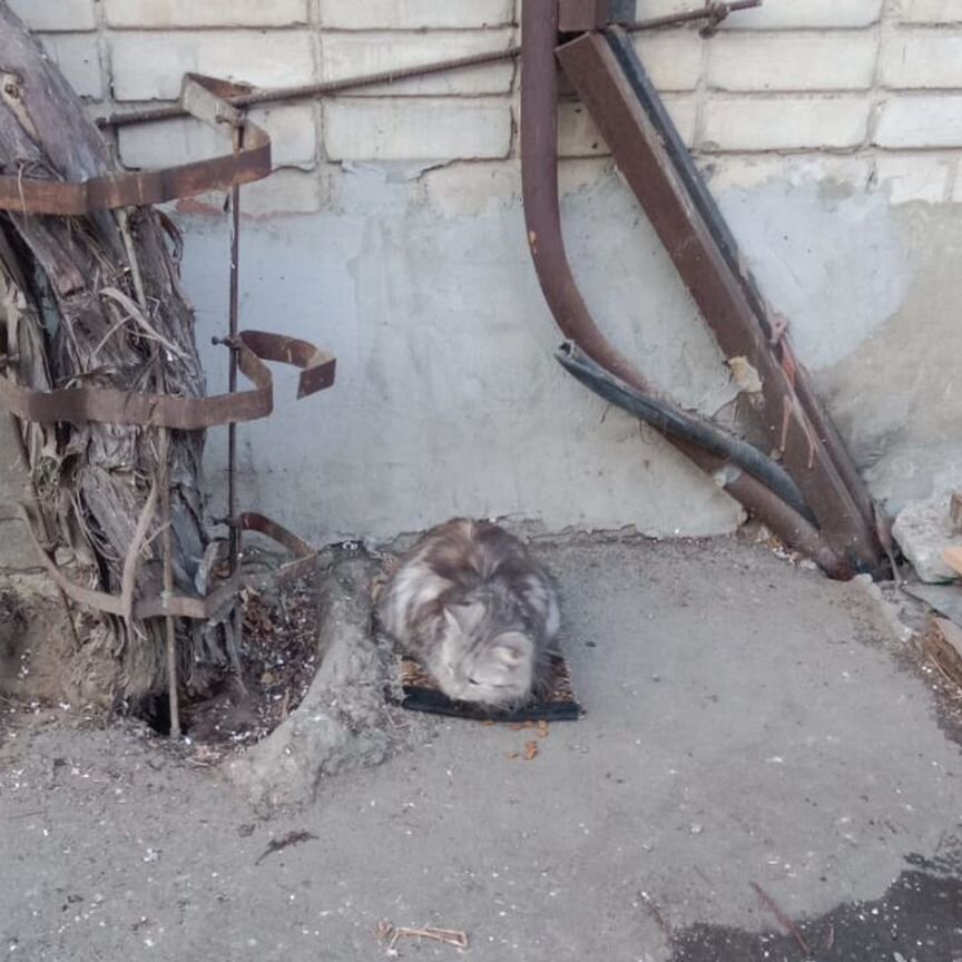 Нужны самые добрые ручки