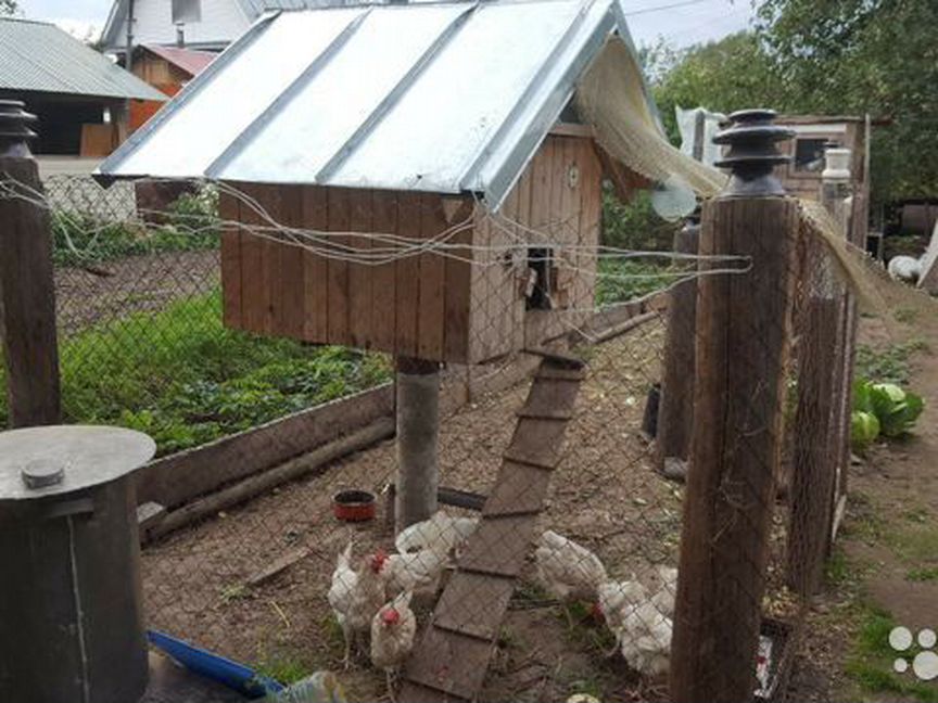 Домик для кур
