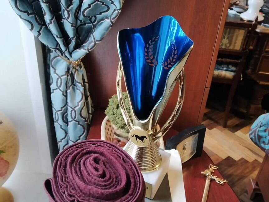 Бинты (комплект) для лошади флис + резинка