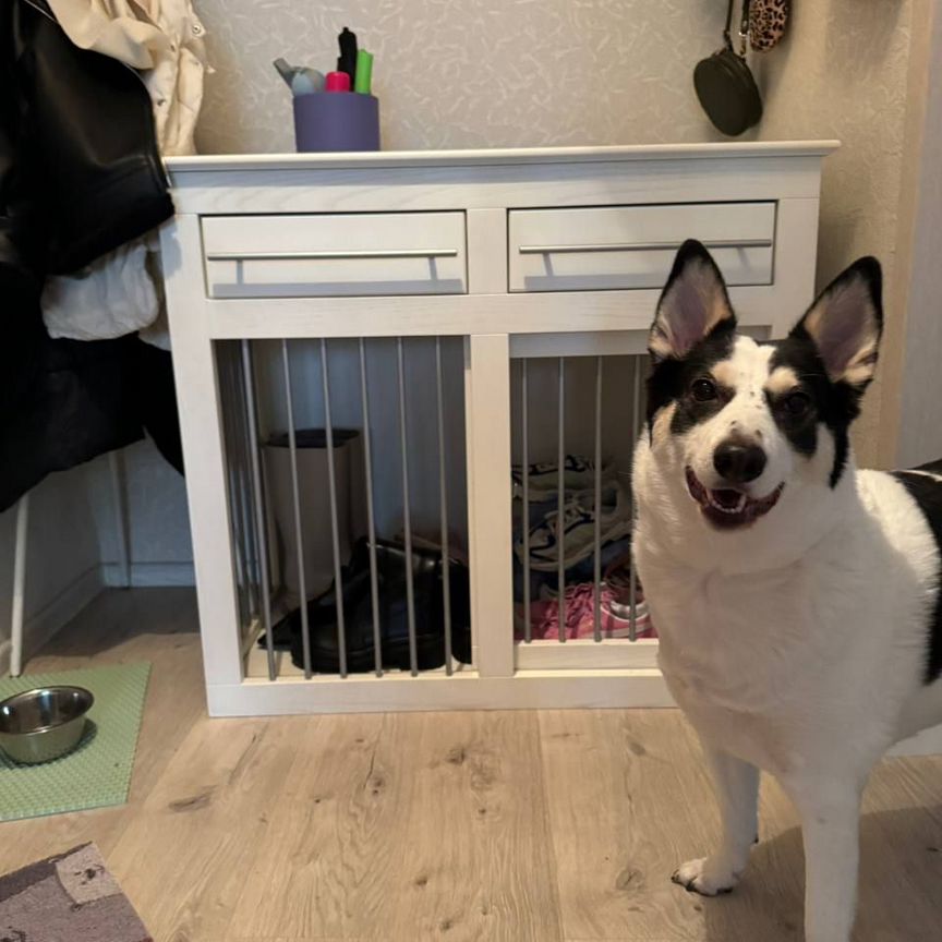 Вольер-комод для собак