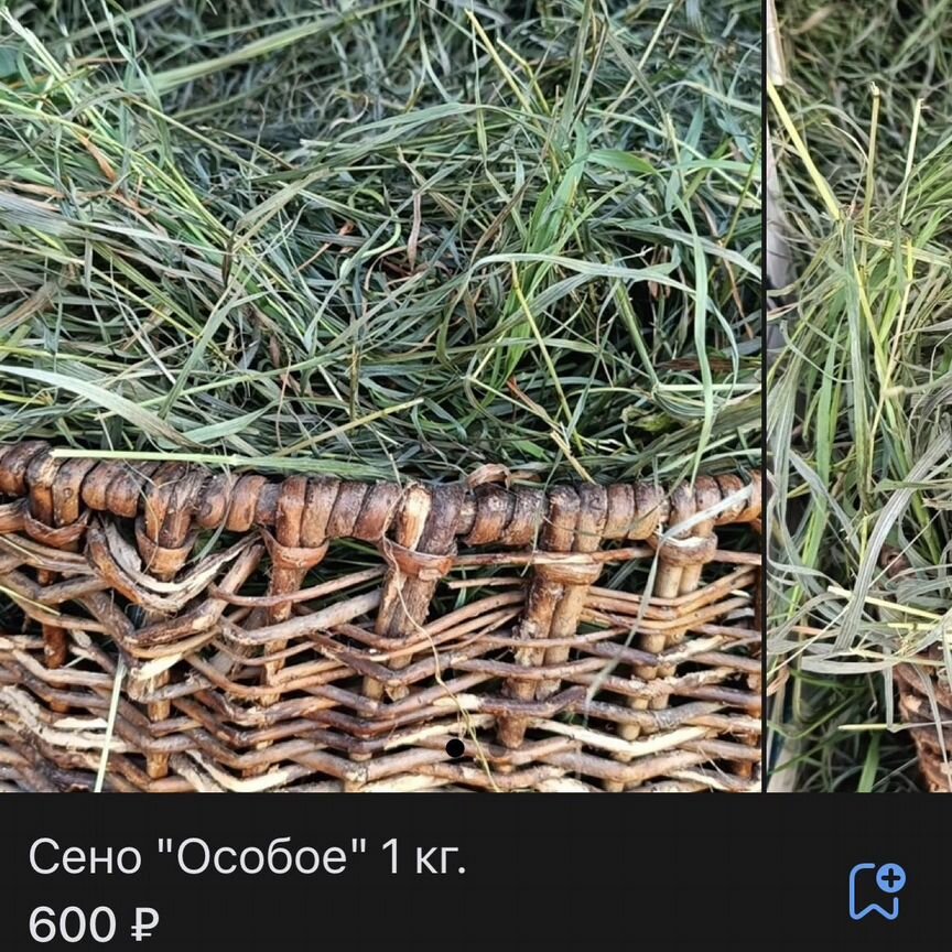 Травы для шиншилл