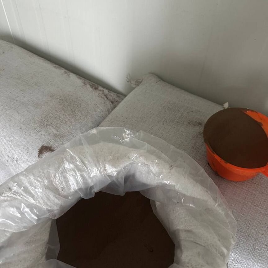 Цисты артемии