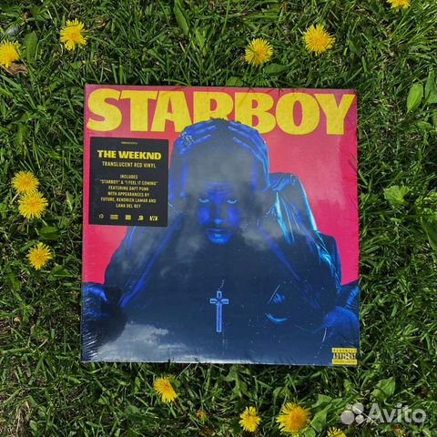 Виниловая пластинка The Weeknd купить в Москве | Хобби и отдых | Авито