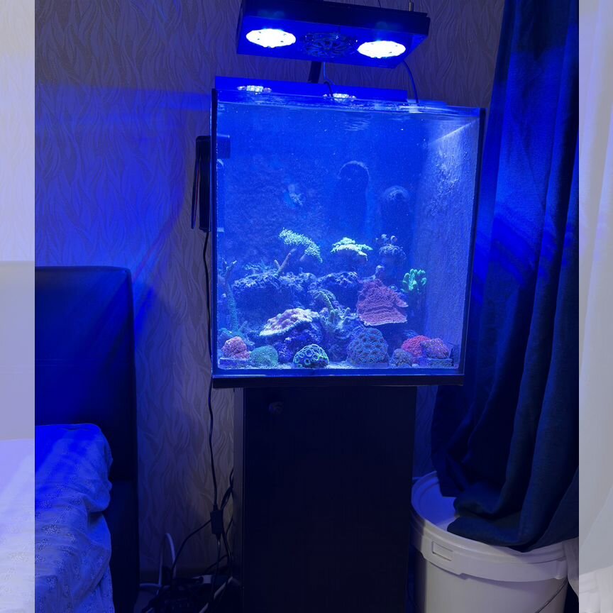 Морской аквариум комплект