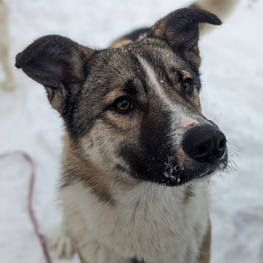 Молодой мальчик