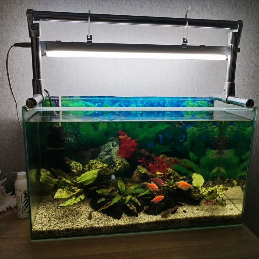 Аквариум