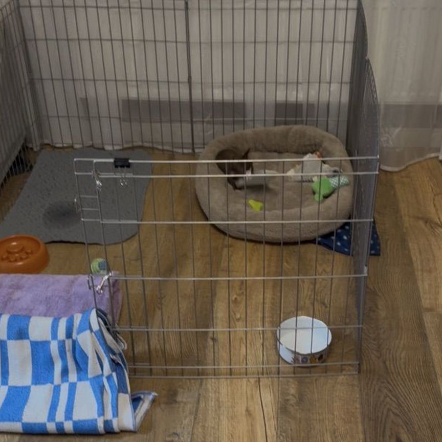 Вольер для собак бу