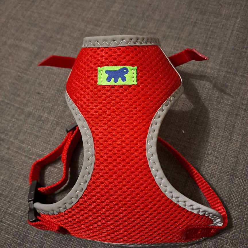 Шлейка для маленькой собаки