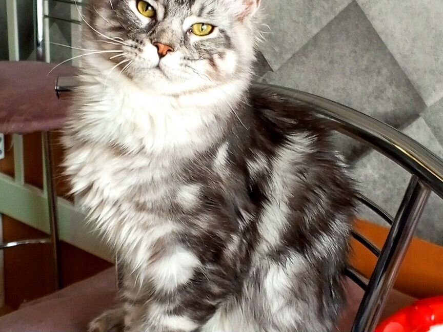 Брат и сестричка