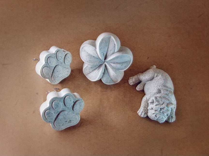 Камни для зубов с ракушками