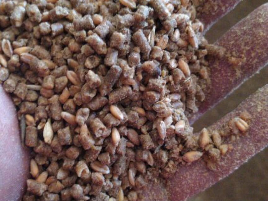 Комбикорм для кур-несушек, бройлеров, гусей и уток