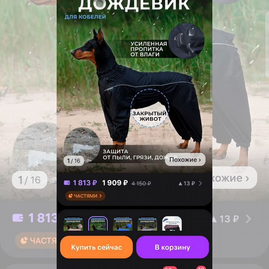 Дождевик для крупной собаки