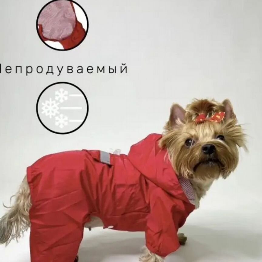 Дождевик для собаки (мальчика) новый