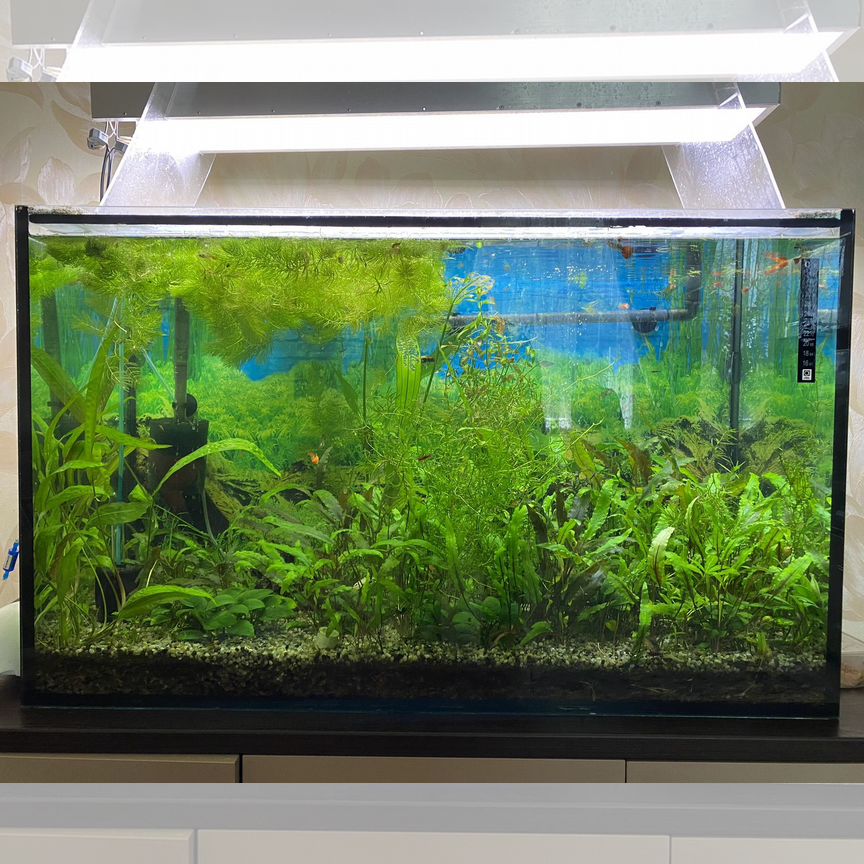 Грунт для аквариума кварцевая крошка