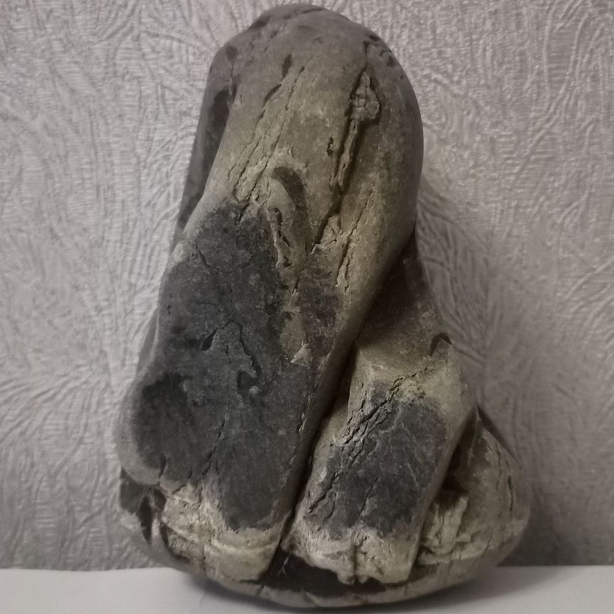 Морской камень для флорариума,Скала"