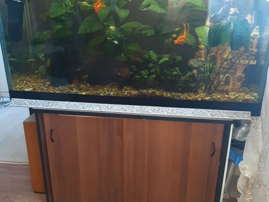 Аквариум с тумбой и рыбками, помпа фильтр