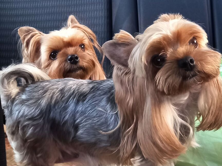 Милые малыши