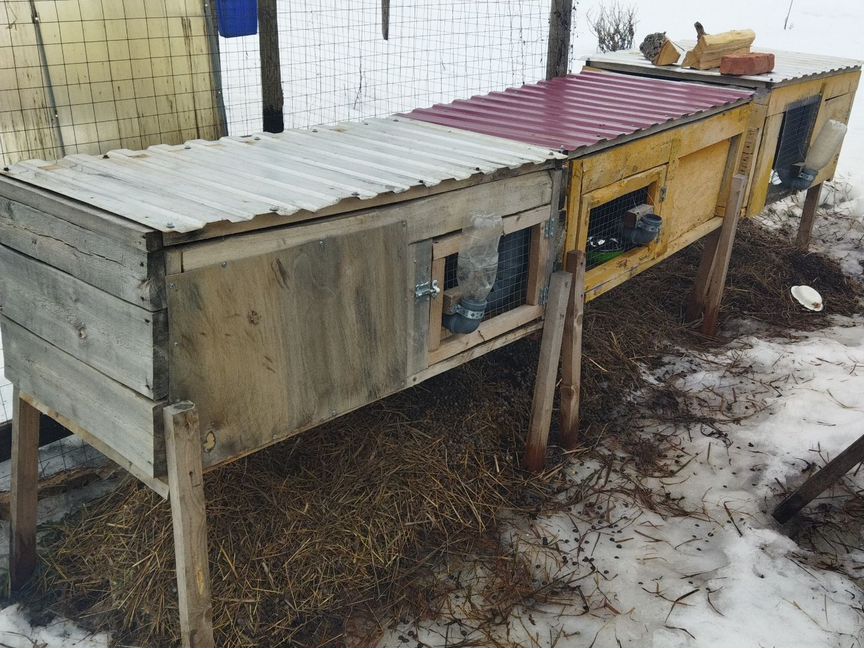 Клетка для кроликов