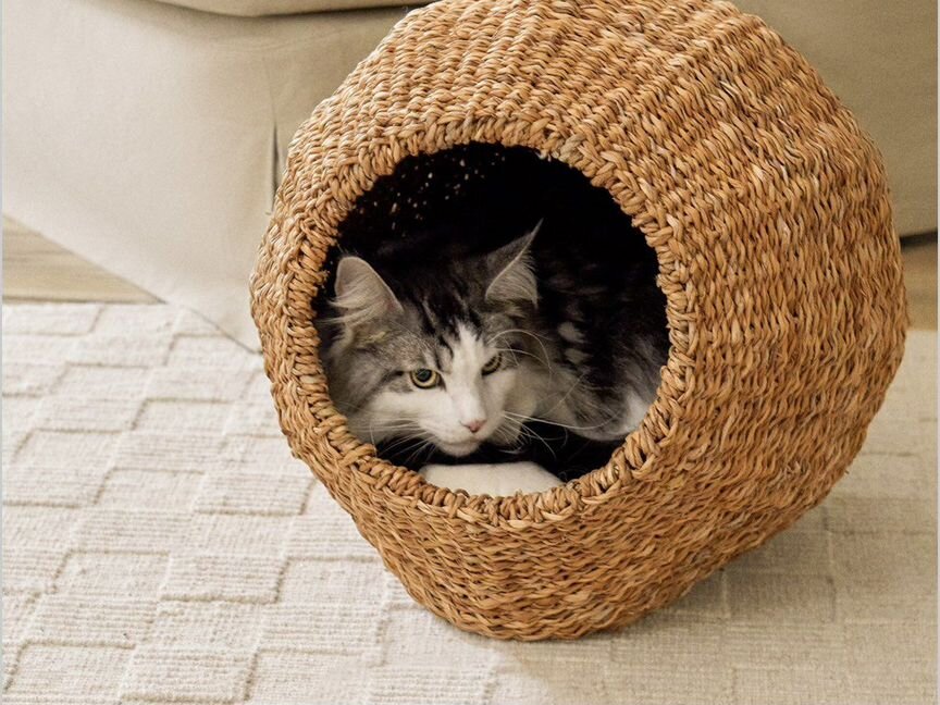 Корзина дом для домашних животных zara home